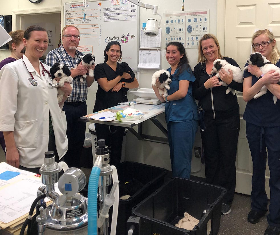 Featured Vet: Dr. Mark Zacharia, Edmonds-Westgate Veterinary Hospital ...